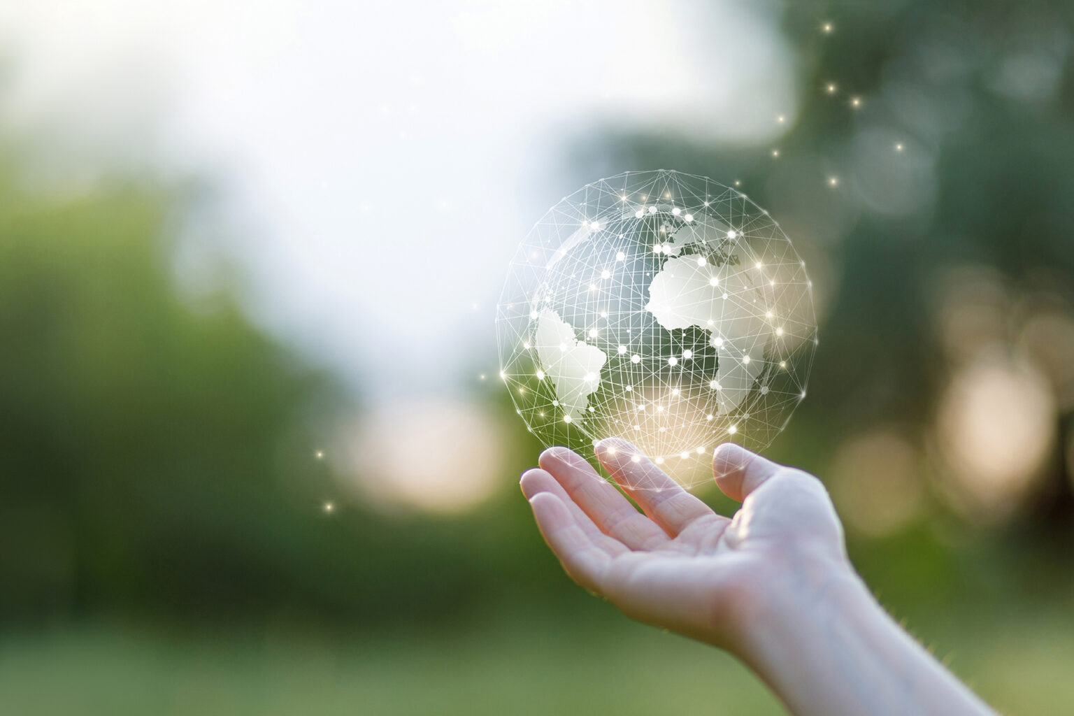 Environmental costs of digital | Galloways